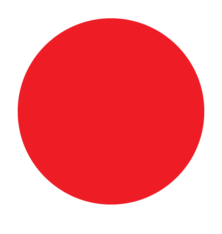 유아교육 누리놀이